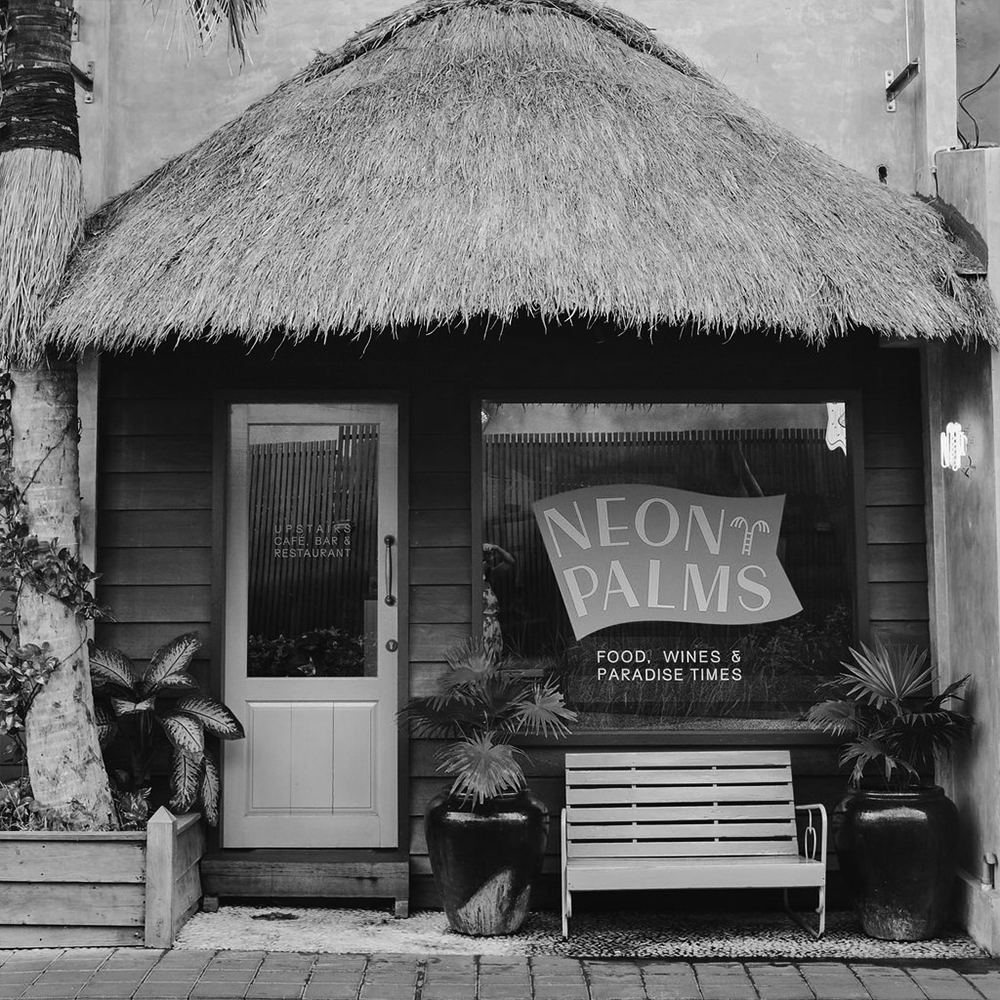 NEON PALMS | The Punch Community