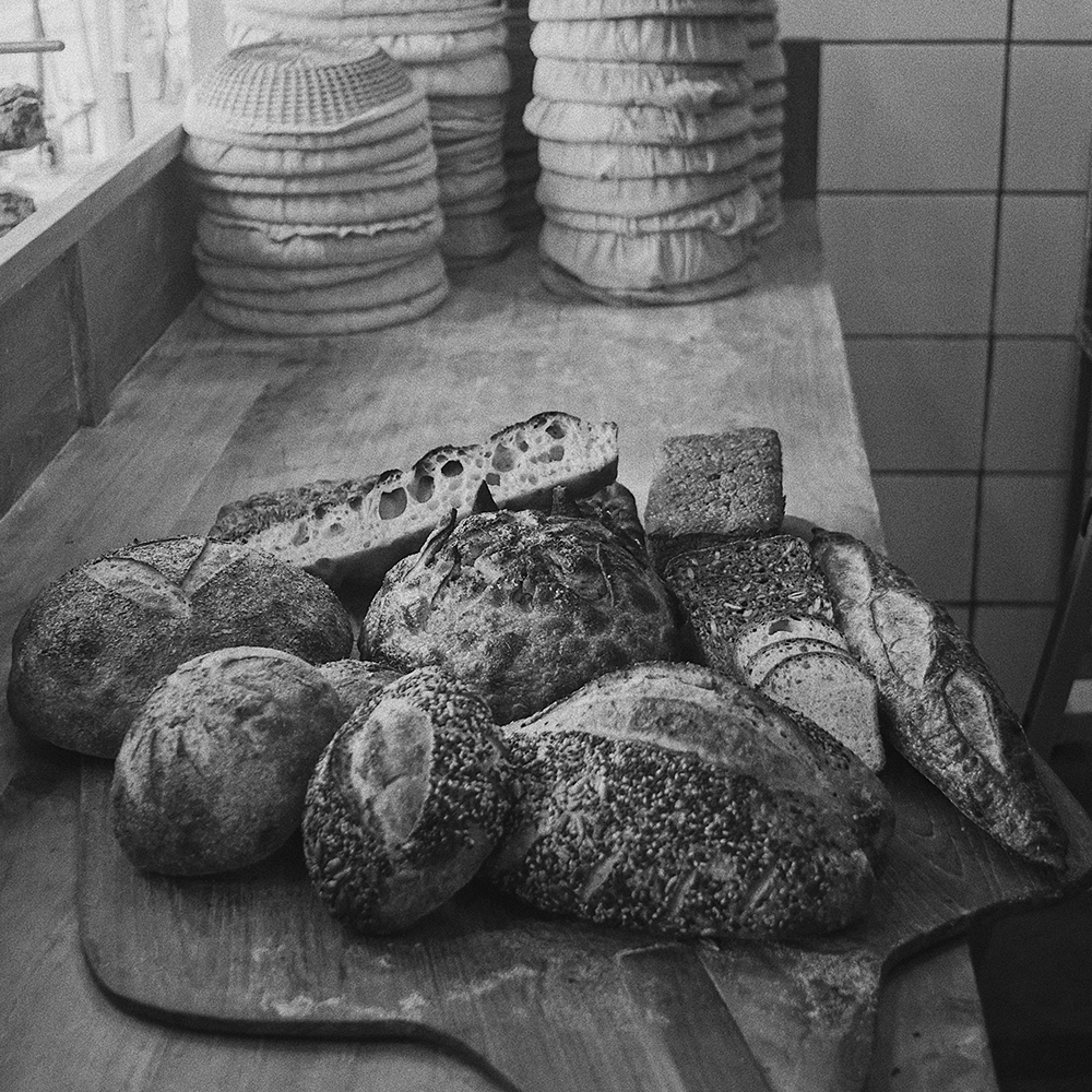 STARTER LAB | The Punch Community