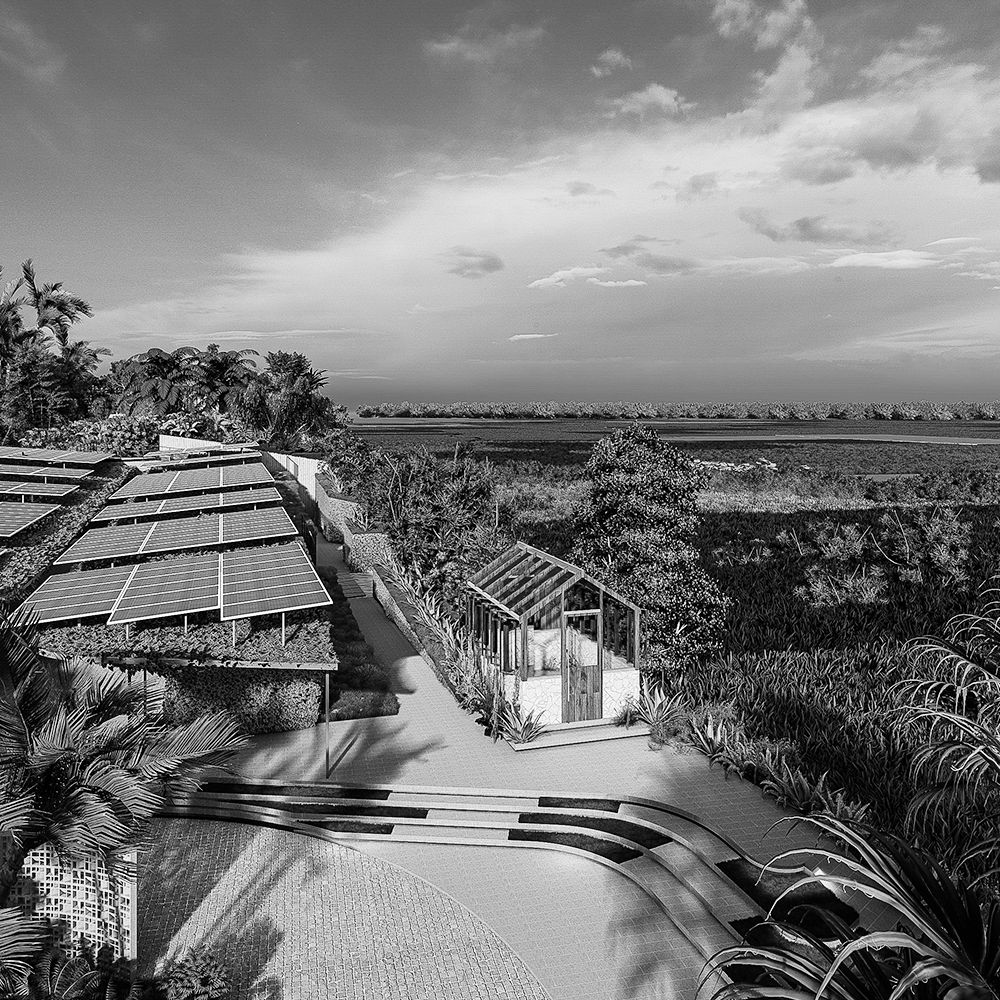 NXT | The Punch Community