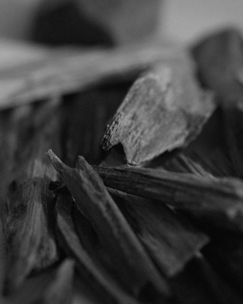 Featured Sumaye | The Punch Community